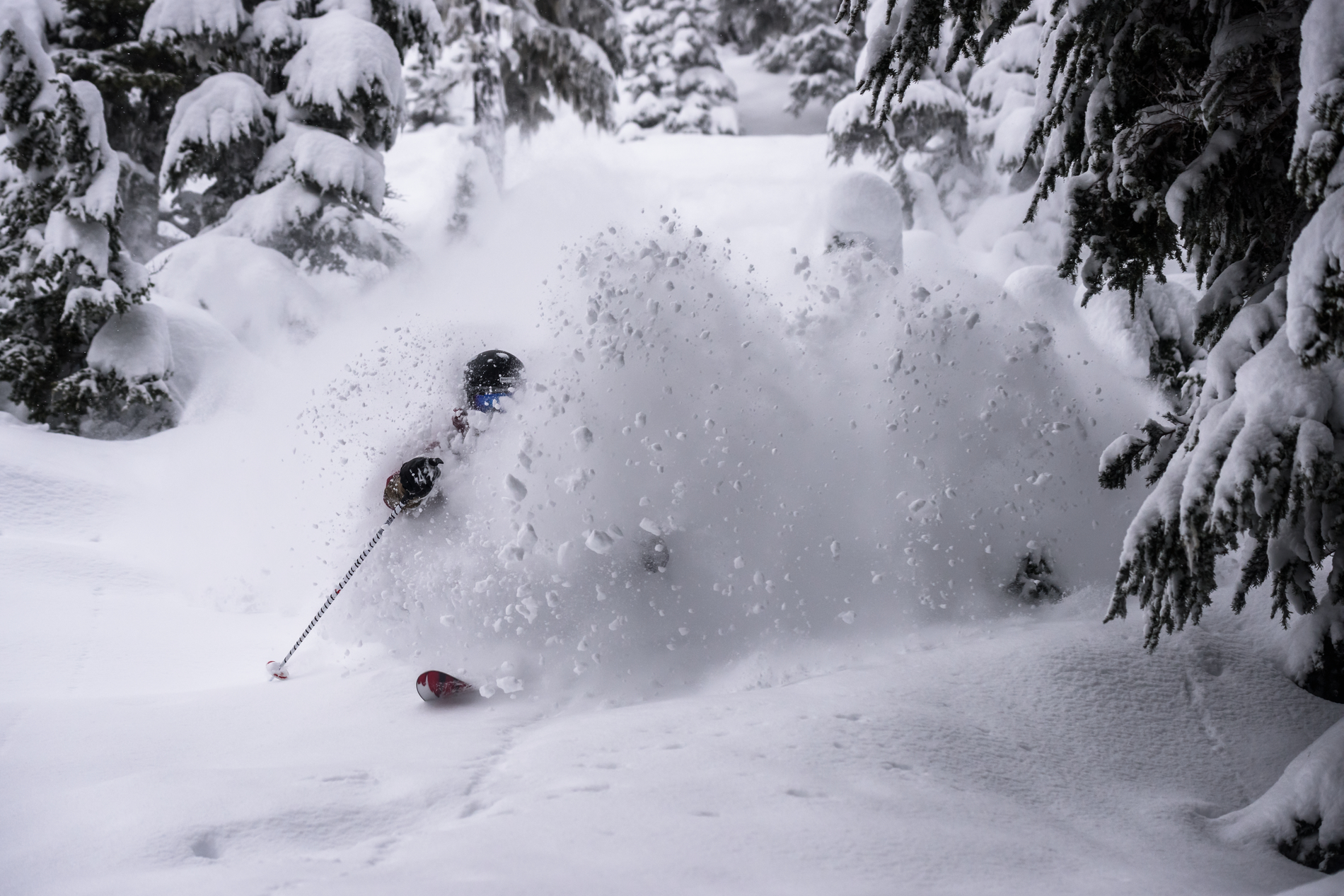 Shames Mountain - Travel Northern BC