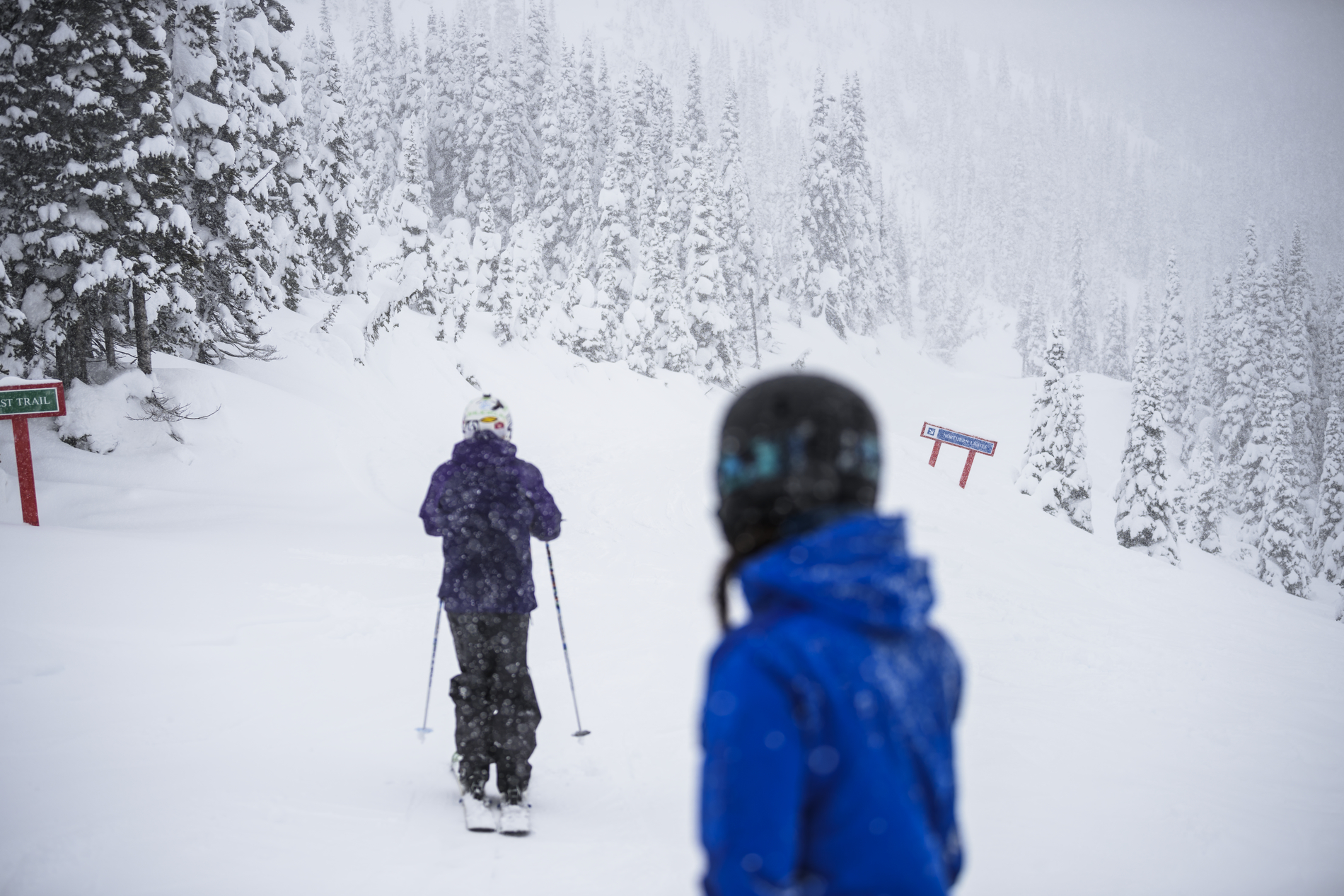 Powder King Mountain Resort - Travel Northern BC